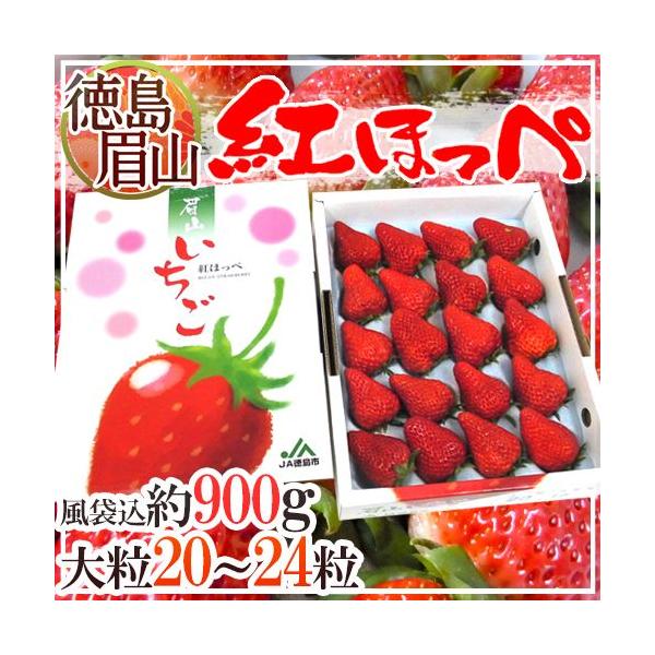 【送料無料】こだわり産地「徳島・眉山」産紅ほっぺ！甘味と酸味の黄金比ともいわれる味わいと、果肉に果汁を抱き込んだようなしっかりとした食感はたまりません！化粧箱入りでギフトにもオススメ！/フルーツ/果物/爆買