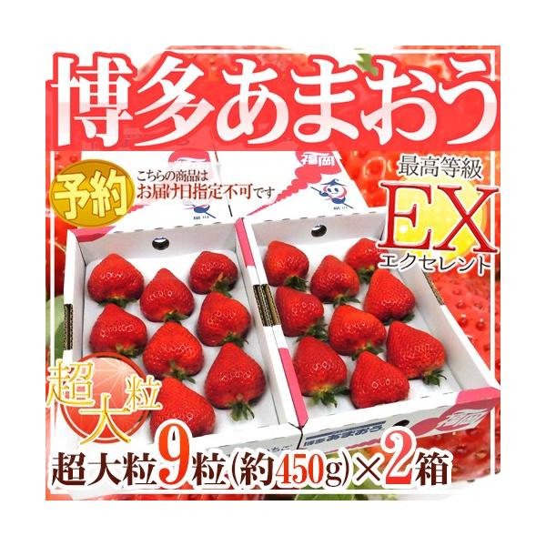 【発売日：2026年02月15日】【送料無料】「おいしいいちごの代名詞」あまおうの最高等級！超大粒で宝石みたいにキラキラ！一口噛むと口の中にジュワ〜っと広がる甘酸っぱい果肉で夢心地♪ギフトや自分へのご褒美にも！/甘王/いちご/イチゴ/苺/フ...