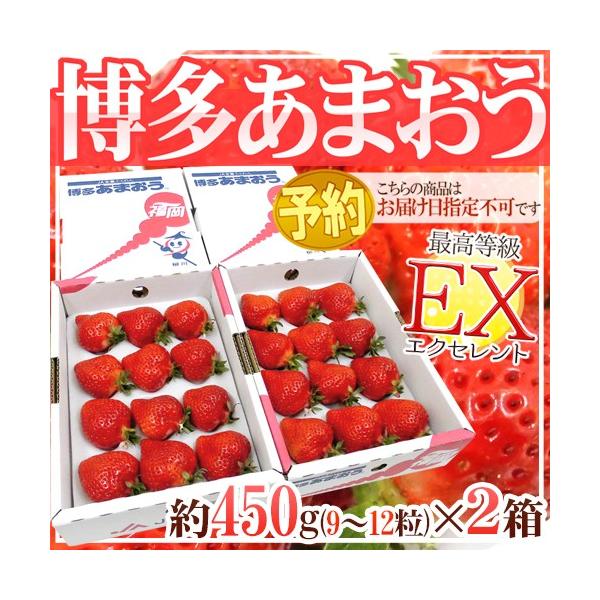 【発売日：2026年02月15日】【送料無料】「おいしいいちごの代名詞」あまおうの最高等級！超大粒で宝石みたいにキラキラ！一口噛むと口の中にジュワ〜っと広がる甘酸っぱい果肉で夢心地♪ギフトや自分へのご褒美にも！/甘王/いちご/イチゴ/苺/フ...