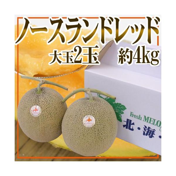 【発売日：2026年07月25日】【送料無料！】北海道の厳しい寒さで甘味をぎゅぎゅっと凝縮させた絶品赤肉メロン♪緻密で繊細な果肉と高貴な甘さでファン急増中！姿も美しいので贈答にもオススメです！「中元」/フルーツ/果物/4キロ/爆買