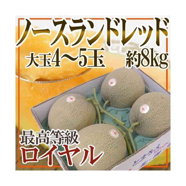 【発売日：2026年07月25日】【送料無料！】北海道の厳しい寒さで甘味をぎゅぎゅっと凝縮させた絶品赤肉メロン♪緻密で繊細な果肉と高貴な甘さでファン急増中！最高等級で姿も美しいので贈答にもオススメです！「中元」/フルーツ/果物/8キロ/爆買