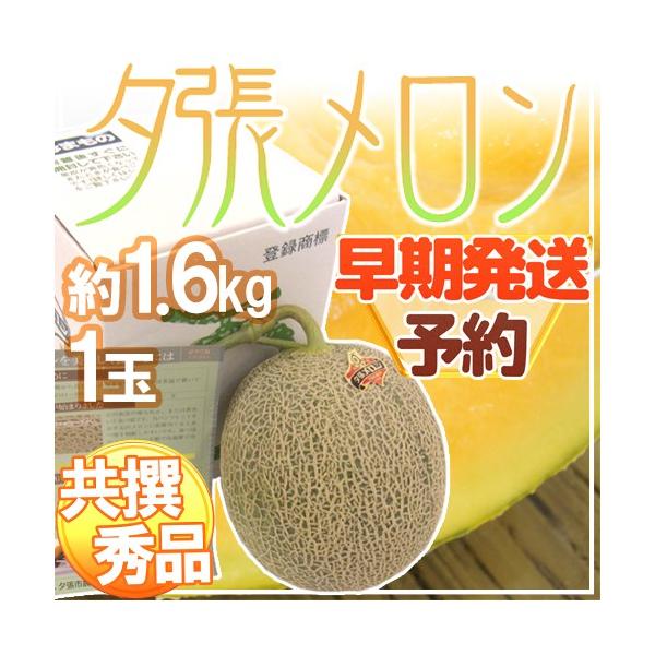 【発売日：2026年05月30日】【送料無料】厳格な品質管理で高いクオリティを維持するブランドメロン「夕張メロン」！その香り、甘さ、柔らかさは食べた人を魅了します♪「中元」ゆうばりめろん/ゆうばりメロン/夕張キングメロン/赤肉メロン/マスク...