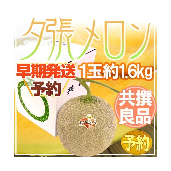【発売日：2026年05月30日】【送料無料】厳格な品質管理で高いクオリティを維持するブランドメロン「夕張メロン」！その香り、甘さ、柔らかさは食べた人を魅了します♪ゆうばりめろん/ゆうばりメロン/夕張キングメロン/赤肉メロン/マスクメロン/...