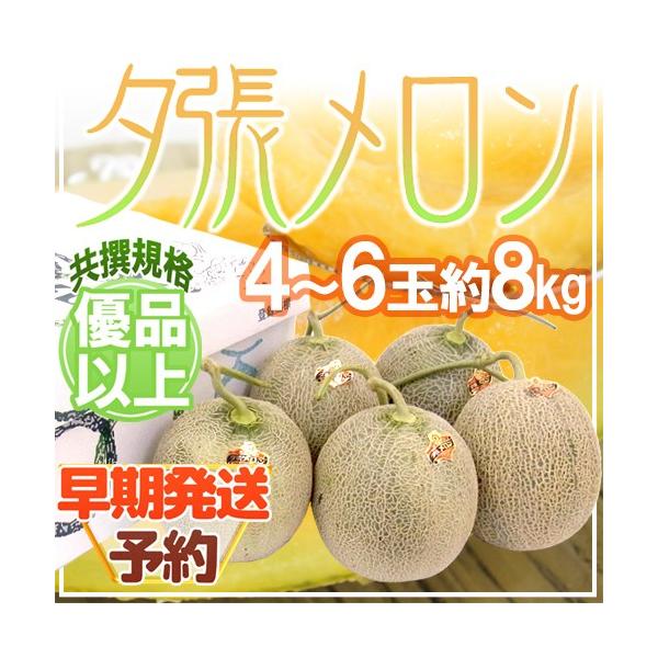 【発売日：2026年05月30日】【送料無料】厳格な品質管理で高いクオリティを維持するブランドメロン「夕張メロン」！その香り、甘さ、柔らかさは食べた人を魅了します♪ゆうばりめろん/ゆうばりメロン/夕張キングメロン/赤肉メロン/マスクメロン/...