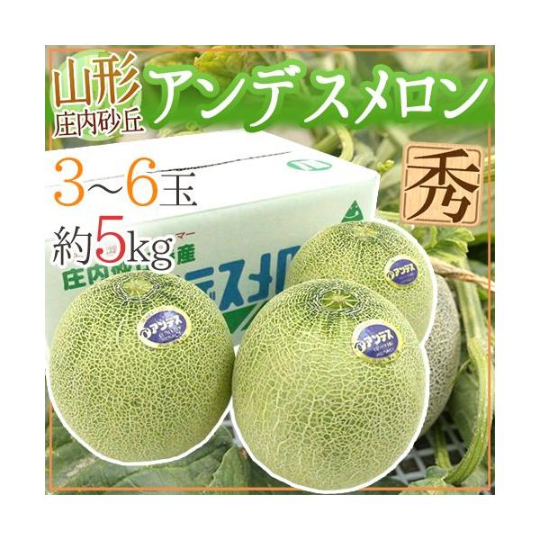 【発売日：2026年07月10日】【送料無料】滑らかで緻密な果肉、驚くほどに高い糖度！砂丘育ちのメロンは、驚くほどの甘さが自慢♪一口食べると口の中で甘い果汁が溢れます♪/安心ですメロン/あんですメロン/フルーツ/果物/5キロ/爆買