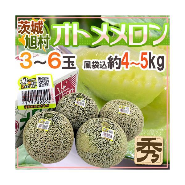 【発売日：2026年04月30日】【送料無料】春メロンの先陣を切る「オトメメロン」さっぱりとした甘さは一足お先に初夏を運んできてくれます♪今回お届けするのは甘さと安定した品質に自信アリの旭村メロン！光センサー撰果でおいしさお墨付きです！/フ...