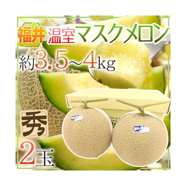【発売日：2026年09月10日】【送料無料】実は知る人ぞ知るメロンの名産地・福井県！「若猪野メロン」や「あわらメロン」などのブランドメロン産地を擁するオススメ産地のマスクメロンです♪甜瓜/メロン/温室メロン/マスクメロン/青肉メロン/アー...
