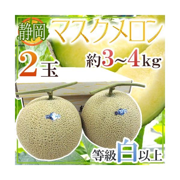 【発売日：2026年06月10日】上品で爽やかな甘さ、芳醇な香り！トップブランド産地・静岡県のマスクメロン♪美しい姿と滑らかな食感は名産地ならでは！/青肉メロン/アールスメロン/温室メロン/フルーツ/果物/4キロ/3キロ/爆買