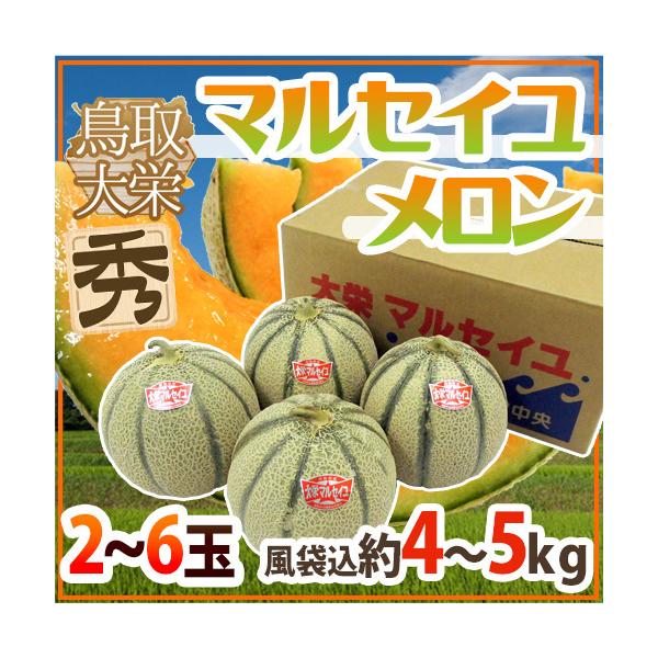 【発売日：2026年06月25日】【送料無料】肉厚で濃厚な赤肉は口の中に心地よい後味を残します。大人気の“大栄すいか”と同じ土壌で育った“大栄マルセイユ”。ぜひお試しあれ♪/フルーツ/果物/5キロ/爆買