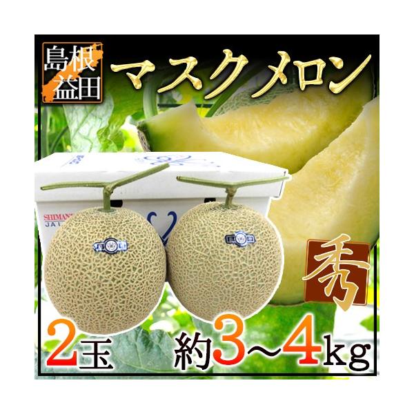 【発売日：2026年07月10日】【送料無料】西日本でも指折りの名産地「島根」のマスクメロン♪1つの苗に1つの果実だけを実らせ、丁寧に育て上げた芸術のような果実！爽やかで上品な甘さは贈答にも◎！甜瓜/メロン/温室メロン/マスクメロン/青肉メ...