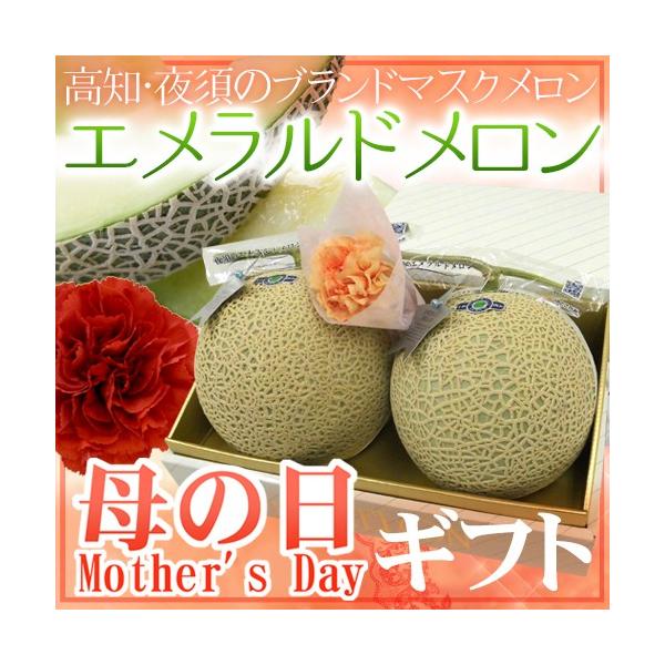 【発売日：2026年05月02日】【送料無料！】味に定評アリ！高知・夜須の【エメラルドメロン】と【カーネーション生花】の当店オリジナルセットです♪母の日限定ギフトラッピング♪マスクメロン/ブランドメロン/メロン/めろん/プレゼント/ギフト/...