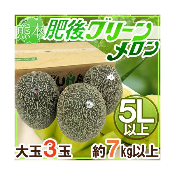 【発売日：2026年05月30日】【送料無料】メロンファンの方、お待たせしました！！熊本から甘〜いメロン《肥後グリーン》の登場です！ジューシーで柔らかくキワまで甘い♪♪「中元」/フルーツ/果物/7キロ/爆買