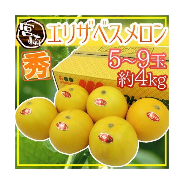 【発売日：2026年04月25日】【送料無料】鮮やかな黄色の姿が個性的！金色の「エリザベスメロン」はしっかり甘いのにベタつかない、名前の通りの上品な味わい！爽やかな香りと食べやすいサイズで、女性にも人気のメロンです♪/フルーツ/果物/4キロ/爆買