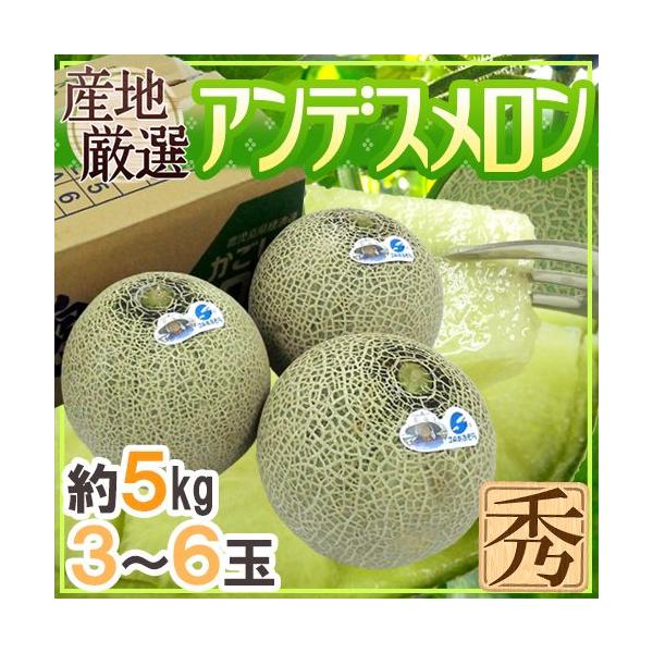 【発売日：2026年05月30日】【送料無料】甘くてジューシーなおいしさと、お手頃価格で大人気！の「アンデスメロン」アールスメロンにも負けない甘さは何度でも食べたくなるお味です！人気品種でギフトなどにも最適です♪/フルーツ/果物/5キロ/爆買