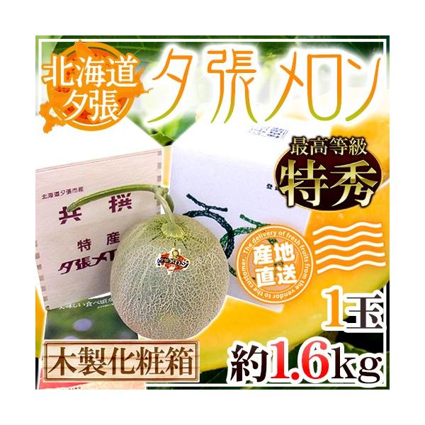 【発売日：2026年06月25日】北海道の厳しい寒さで甘味をぎゅぎゅっと凝縮させた絶品青肉メロン♪爽やかで上品な香りと甘さでファン急増中！姿も美しいので贈答にもオススメです！「中元」/フルーツ/果物/1.6キロ/爆買