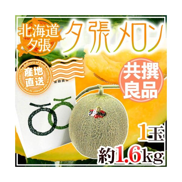 【発売日：2026年06月25日】厳格な品質管理で高いクオリティを維持するブランドメロン「夕張メロン」！その香り、甘さ、柔らかさは食べた人を魅了します♪「中元」/フルーツ/果物/1.6キロ/爆買