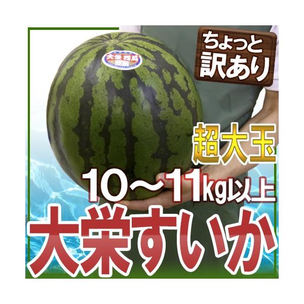 【発売日：2026年06月10日】【送料無料！】超特大ジャンボ！5Lサイズ、鳥取　大栄スイカ【超特大スイカ】糖度センサーでハズレ無しの甘さ！わけあり特別価格でのご提供です♪父の日・お中元にも♪4月5月は熊本産すいか、6月7月は大栄西瓜、8月...