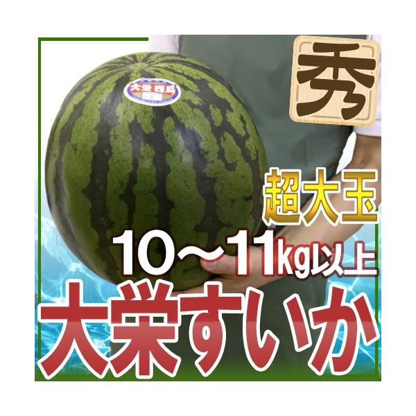 【発売日：2026年06月10日】【送料無料！】超特大ジャンボ！5Lサイズ、鳥取　大栄スイカ【超特大スイカ】糖度センサーでハズレ無しの甘さ！特別価格でのご提供です♪父の日・お中元にも♪4月5月は熊本産すいか、6月7月は大栄西瓜、8月9月は山...