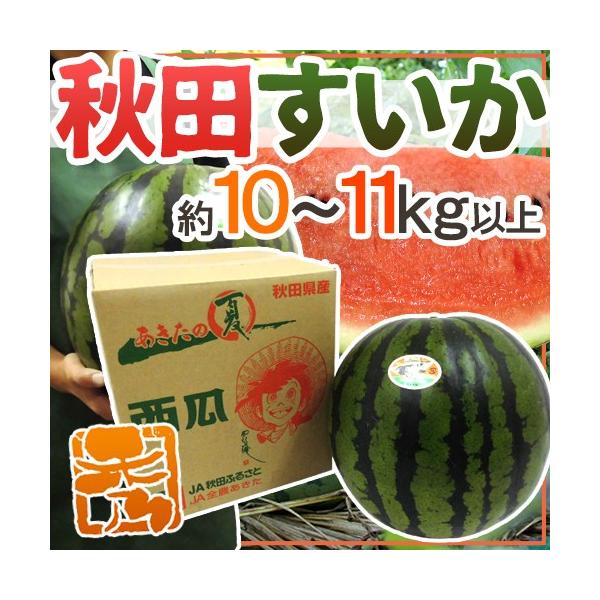 【発売日：2026年07月25日】【送料無料！】「米どころ」の清涼な水、昼夜の気温差で育まれた、歯ごたえ自慢の【秋田すいか】実は山形・尾花沢にも劣らない名産地♪シャッキシャキで爽やかな甘さ！/西瓜/スイカ/東北スイカ/秋田産/あきたスイカ/...