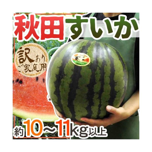 【発売日：2026年07月25日】「米どころ」の清涼な水、昼夜の気温差で育まれた、歯ごたえ自慢の【秋田すいか】実は山形・尾花沢にも劣らない名産地♪シャッキシャキで爽やかな甘さ！/西瓜/東北スイカ/秋田産/あきたスイカ/フルーツ/果物/11キ...