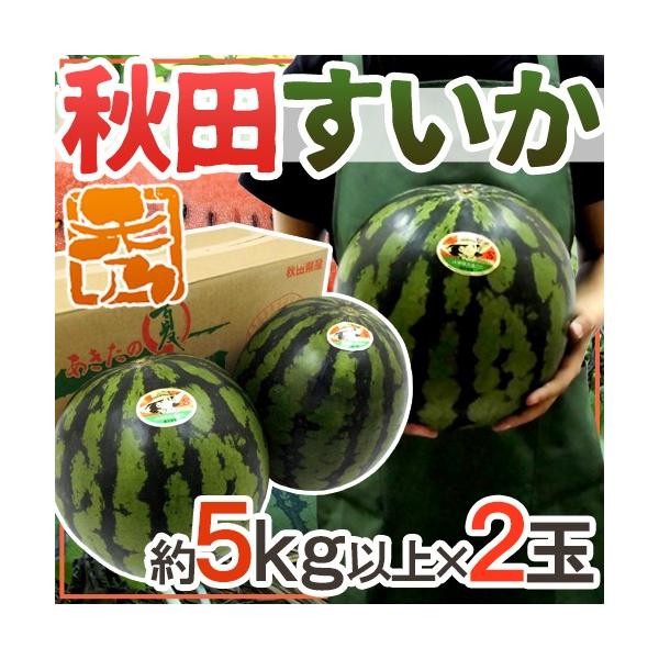 【発売日：2026年07月31日】【送料無料！】「米どころ」の清涼な水、昼夜の気温差で育まれた、歯ごたえ自慢の【秋田すいか】実は山形・尾花沢にも劣らない名産地♪シャッキシャキで爽やかな甘さ！/フルーツ/果物/5キロ/爆買