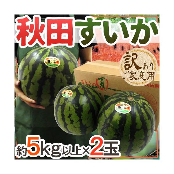 【発売日：2026年07月25日】【送料無料！】「米どころ」の清涼な水、昼夜の気温差で育まれた、歯ごたえ自慢の【秋田すいか】実は山形・尾花沢にも劣らない名産地♪シャッキシャキで爽やかな甘さ！/フルーツ/果物/5キロ/爆買