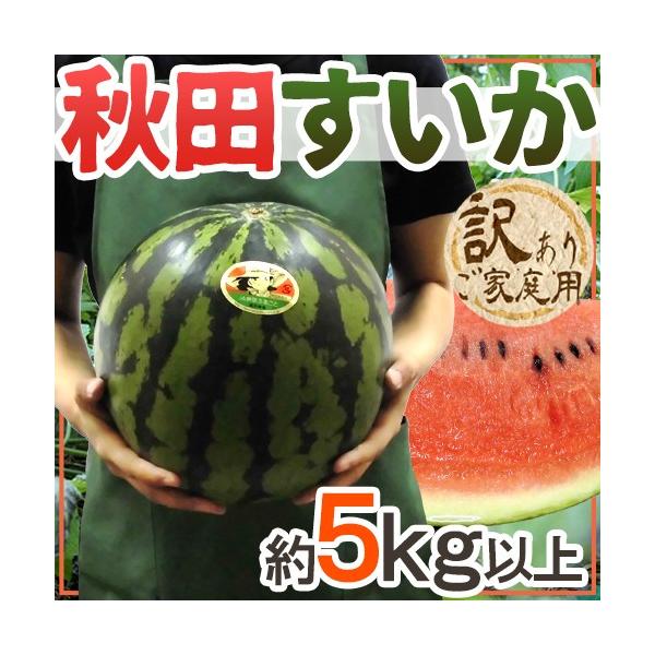 【発売日：2026年07月25日】【送料無料！】「米どころ」の清涼な水、昼夜の気温差で育まれた、歯ごたえ自慢の【秋田すいか】実は山形・尾花沢にも劣らない名産地♪シャッキシャキで爽やかな甘さ！/フルーツ/果物/5キロ/爆買