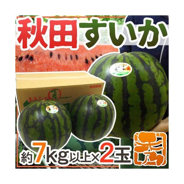 【発売日：2026年07月31日】【送料無料！】「米どころ」の清涼な水、昼夜の気温差で育まれた、歯ごたえ自慢の【秋田すいか】実は山形・尾花沢にも劣らない名産地♪シャッキシャキで爽やかな甘さ！/フルーツ/果物/7キロ/爆買