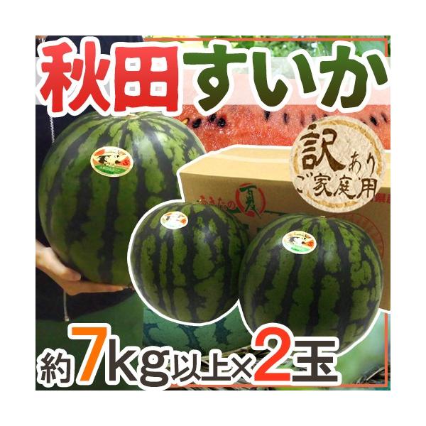 【発売日：2026年07月25日】【送料無料！】「米どころ」の清涼な水、昼夜の気温差で育まれた、歯ごたえ自慢の【秋田すいか】実は山形・尾花沢にも劣らない名産地♪シャッキシャキで爽やかな甘さ！/西瓜/スイカ/東北スイカ/秋田産/あきたスイカ/...