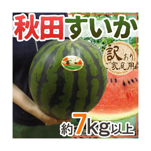 【発売日：2026年07月25日】【送料無料！】「米どころ」の清涼な水、昼夜の気温差で育まれた、歯ごたえ自慢の【秋田すいか】実は山形・尾花沢にも劣らない名産地♪シャッキシャキで爽やかな甘さ！/西瓜/スイカ/東北スイカ/秋田産/あきたスイカ/...