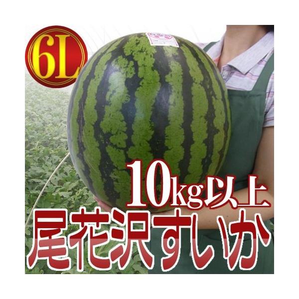 【発売日：2026年07月25日】特大6Lサイズ、山形【尾花沢スイカ】糖度センサーでハズレ無しの甘さ！　特別価格でのご提供です♪ちょっとワケあり＆大量販売店だから出来る価格設定です！/フルーツ/果物/10キロ/爆買