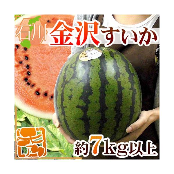 【発売日：2026年07月10日】【送料無料！】高い糖度が自慢♪金沢の昼夜の寒暖差でググっと甘くなった大玉スイカ♪「金沢そだち」ブランド認定の高品質すいかです♪お中元にも♪/西瓜/スイカ/石川産/金沢産/金沢そだち/フルーツ/果物/7キロ/爆買