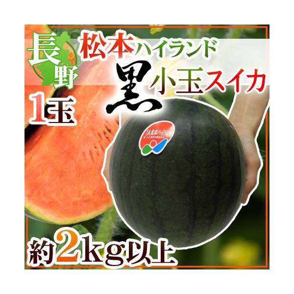 【発売日：2026年07月25日】【送料無料！】長野県の「火山灰土壌」の「高地」で作られた栽培地限定ブランドスイカ♪緻密なシャリっと感は夏に美味しい爽やかさ♪贈答にも最適です！/ 西瓜/スイカ/長野産/フルーツ/果物/2キロ/爆買