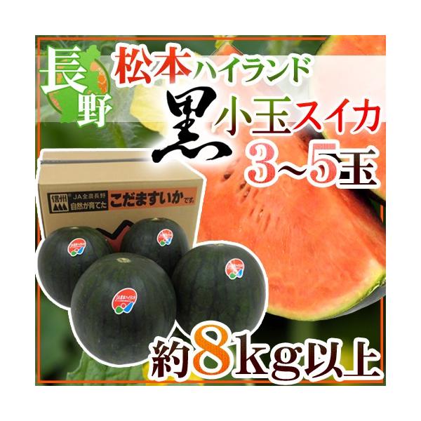 【発売日：2026年07月25日】【送料無料！】長野県の「火山灰土壌」の「高地」で作られた栽培地限定ブランドスイカ♪緻密なシャリっと感は夏に美味しい爽やかさ♪贈答にも最適です！/西瓜/スイカ/長野産/フルーツ/果物/8キロ/爆買