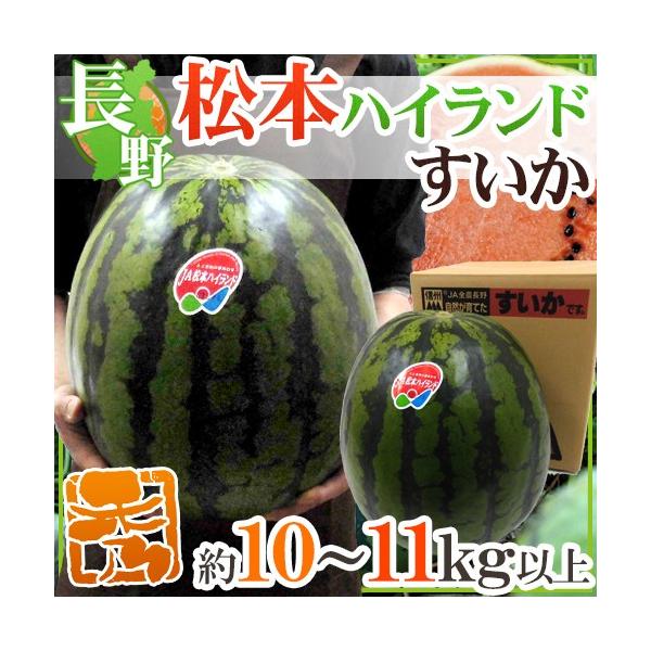 【発売日：2026年07月25日】【送料無料！】長野県の「火山灰土壌」の「高地」で作られた栽培地限定ブランドスイカ♪緻密なシャリっと感は夏に美味しい爽やかさ♪贈答にも最適です！/西瓜/スイカ/長野産/信州産/松本すいか/フルーツ/果物/11...