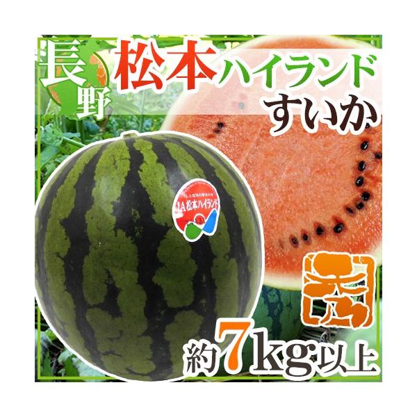 【発売日：2026年07月25日】【送料無料！】長野県の「火山灰土壌」の「高地」で作られた栽培地限定ブランドスイカ♪緻密なシャリっと感は夏に美味しい爽やかさ♪贈答にも最適です！/フルーツ/果物/7キロ/爆買