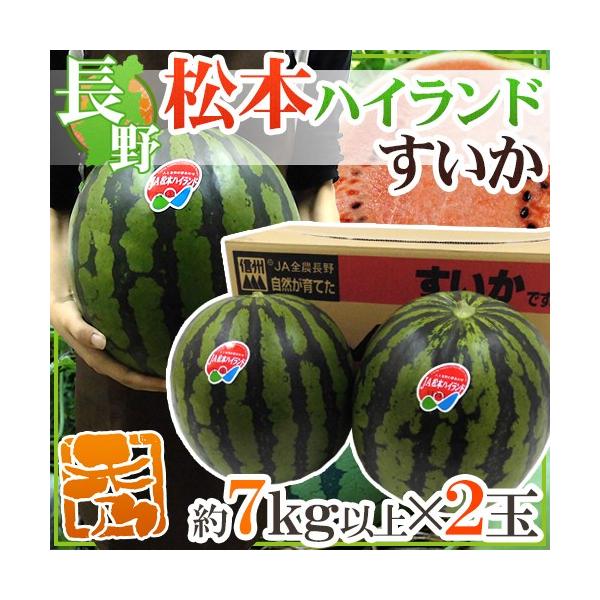 【発売日：2026年07月25日】【送料無料！】長野県の「火山灰土壌」の「高地」で作られた栽培地限定ブランドスイカ♪緻密なシャリっと感は夏に美味しい爽やかさ♪贈答にも最適です！/フルーツ/果物/7キロ/爆買