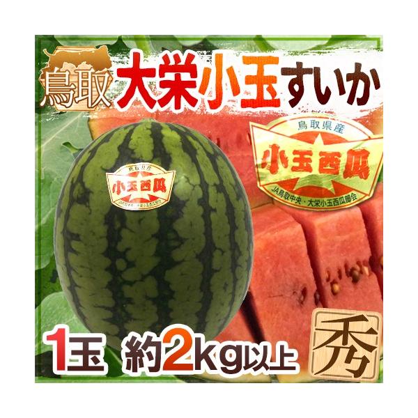 【発売日：2026年06月10日】当店でも大人気♪あの「大栄すいか」の小玉スイカ！！大玉に負けないシャリ感と、高い糖度で大満足！扱いやすさも魅力の一つです♪/父の日/お中元/大栄スイカ/大栄すいか/大栄西瓜/鳥取スイカ/すいか/小玉すいか/...