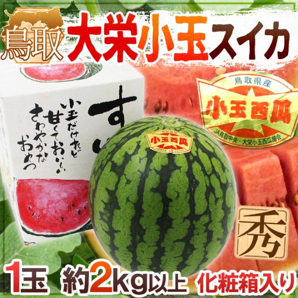 【発売日：2026年06月10日】【送料無料】当店でも大人気♪あの「大栄すいか」の小玉スイカ！！大玉に負けないシャリ感と、高い糖度で大満足！扱いやすさも魅力の一つです♪/大栄西瓜/大栄スイカ/大栄すいか/鳥取スイカ/すいか/小玉すいか/西瓜...