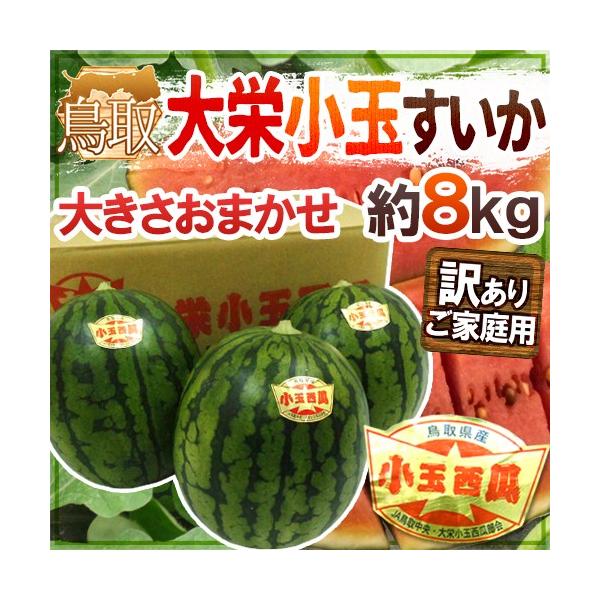 【発売日：2026年06月10日】【送料無料】当店でも大人気♪あの「大栄すいか」の小玉スイカ！！大玉に負けないシャリ感と、高い糖度で大満足！扱いやすさも魅力の一つです♪大栄西瓜/大栄スイカ/大栄すいか/鳥取スイカ/すいか/小玉すいか/西瓜/...