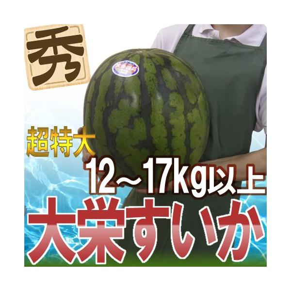 【発売日：2026年06月10日】【送料無料！】特大6L★（7L級）サイズ、山形【超大玉スイカ】糖度センサーでハズレ無しの甘さ！　特別価格でのご提供です♪大量販売店だから出来る価格設定！秀品だから果肉もギッシリ詰まってます♪/尾花沢西瓜/フ...