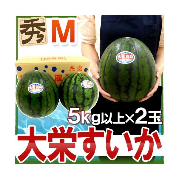 【発売日：2026年06月10日】【送料無料！】ちょうどいいボリューム！Mサイズ、鳥取　大栄スイカ【大玉スイカ】糖度センサーでハズレ無しの甘さ！父の日・お中元にも♪4月5月は熊本産すいか、6月7月は大栄西瓜、8月9月は山形産尾花沢すいか♪旬...