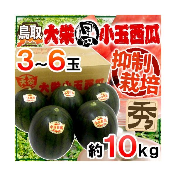 【発売日：2026年09月10日】【送料無料】秋にスイカが食べられる！？当店でも大人気♪あの「大栄すいか」の黒小玉スイカ！！高い技術の抑制栽培でこの時期でも美味しいスイカが！超希少♪黒小玉すいか/大栄西瓜/大栄スイカ/大栄すいか/鳥取スイカ...