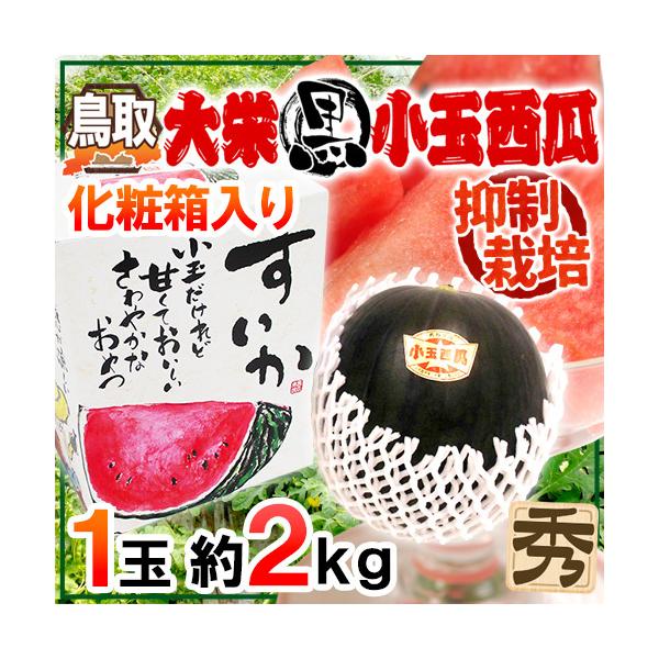 【発売日：2026年09月10日】【送料無料】秋にスイカが食べられる！？当店でも大人気♪あの「大栄すいか」の黒小玉スイカ！！高い技術の抑制栽培でこの時期でも美味しいスイカが！超希少♪黒小玉すいか/大栄西瓜/大栄スイカ/大栄すいか/鳥取スイカ...