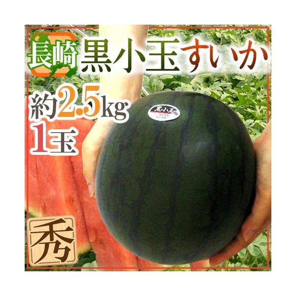 【発売日：2026年07月10日】艶やかな黒皮は高級感バツグン！しっかりとしたシャリ感と上品で爽やかな甘さ！皮が薄くてキワまで食べられるから食べ応えもバッチリ！冷蔵庫にまるごと入る扱いやすさも魅力の一つです♪小玉すいか/小玉スイカ/黒スイカ...