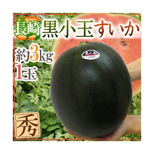 【発売日：2026年07月10日】艶やかな黒皮は高級感バツグン！しっかりとしたシャリ感と上品で爽やかな甘さ！皮が薄くてキワまで食べられるから食べ応えもバッチリ！冷蔵庫にまるごと入る扱いやすさも魅力の一つです♪/小玉すいか/小玉スイカ/黒スイ...