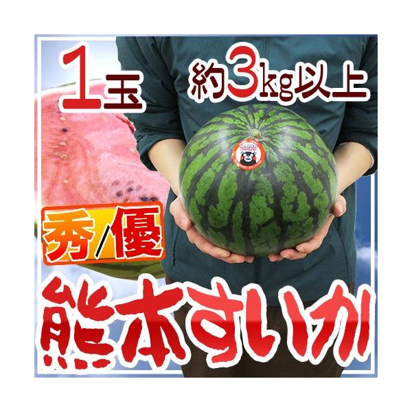 【発売日：2026年04月10日】【送料無料！】シャクシャクで甘〜い！お待たせしました大玉すいか♪爽やかな甘味としっかりとしたシャリ感のある果肉！いくらでも食べられちゃうおいしさです！母の日・父の日・お中元にも♪4月5月は熊本産すいか、6月...