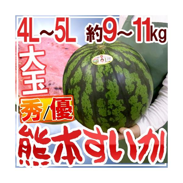 【発売日：2026年04月10日】【送料無料】シャクシャクで甘〜い！お待たせしました大玉すいか♪爽やかな甘味としっかりとしたシャリ感のある果肉！いくらでも食べられちゃうおいしさです！母の日・父の日・お中元にも♪4月5月は熊本産すいか、6月7...