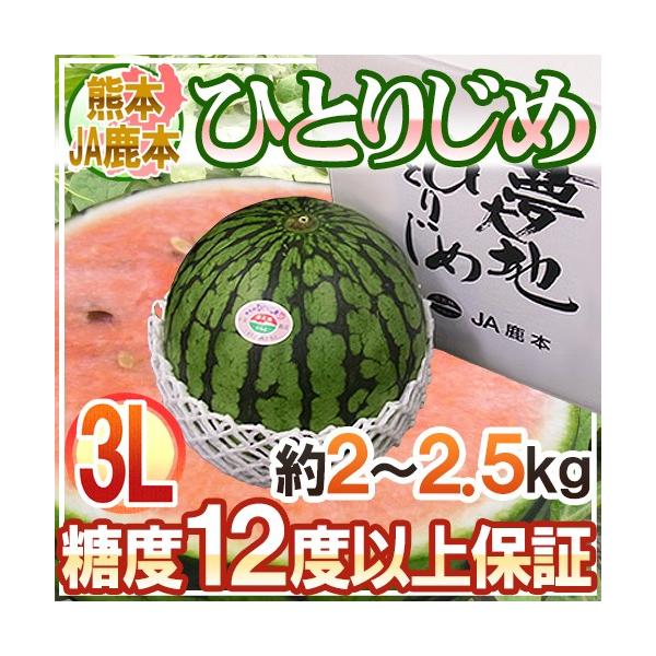 【発売日：2026年04月10日】【送料無料】こだわりの産地！熊本県JA鹿本産小玉すいか【ひとりじめ】光センサーにより糖度12度以上保証！甘〜くて、シャリシャリ食感♪皮ギリギリまでうまい！/フルーツ/果物/2.5キロ/2キロ/爆買