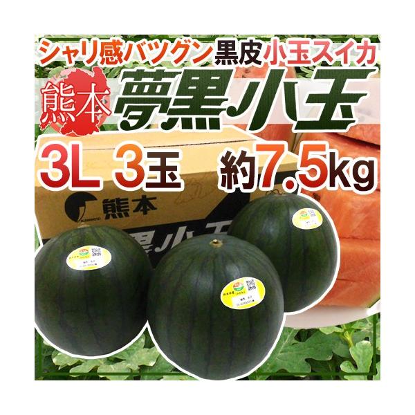 【発売日：2026年05月25日】【送料無料】こだわりの産地！熊本県産小玉すいか【夢黒小玉】大玉スイカに負けないシャリ感♪皮も薄くてギリギリまで食べられます♪甘さも自慢！/小玉スイカ/西瓜/黒西瓜/ひとりじめbonbon/フルーツ/果物/7...